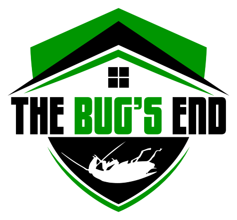 The Bug's End Launch a Brand-New Marketing Campaign for 2020 Including ...