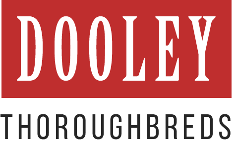 Dooley Thoroughbreds Horse Racing Syndicate - A Huge UK Success Story