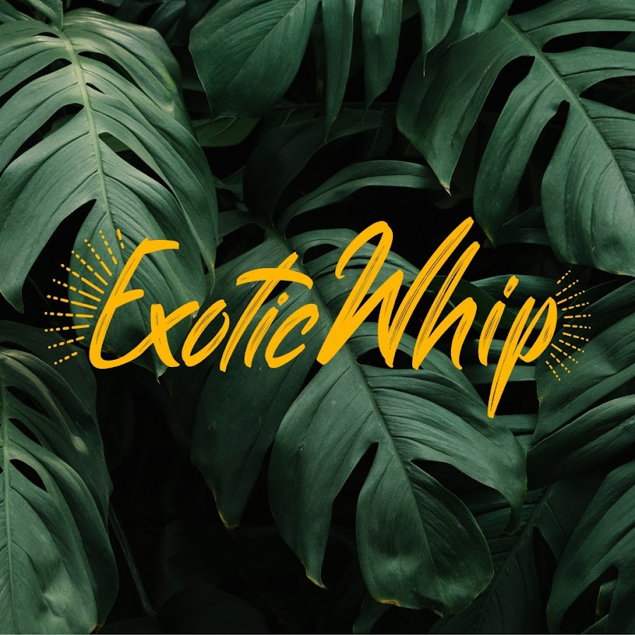 Exotic Whip Revolutionizes The Culinary World with The Release of its Groundbreaking 2kg Cream ...